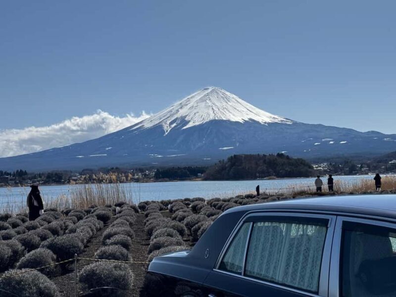 Tokyo: Mt. Fuji and Hakone 2-Day Camping Adventure - An Authentic 2-Day Journey through Fuji and Hakone