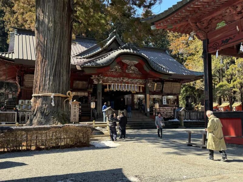 Tokyo: Mt. Fuji and Hakone 2-Day Camping Adventure - Who Should Consider This Tour