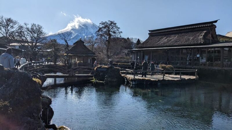Tokyo: Mt. Fuji and Hakone Tour with Cable Car and Cruise - The Real Traveler Experience: Authentic Feedback