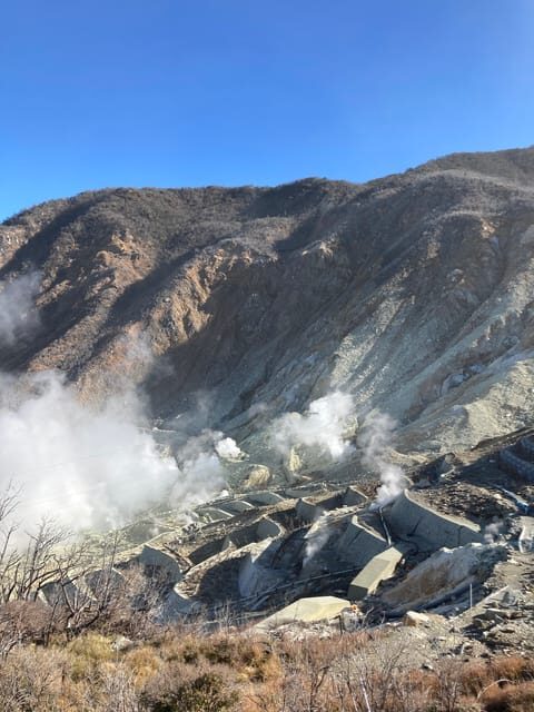 Tokyo: Mt. Fuji and Hakone Tour with Cable Car and Cruise - FAQs