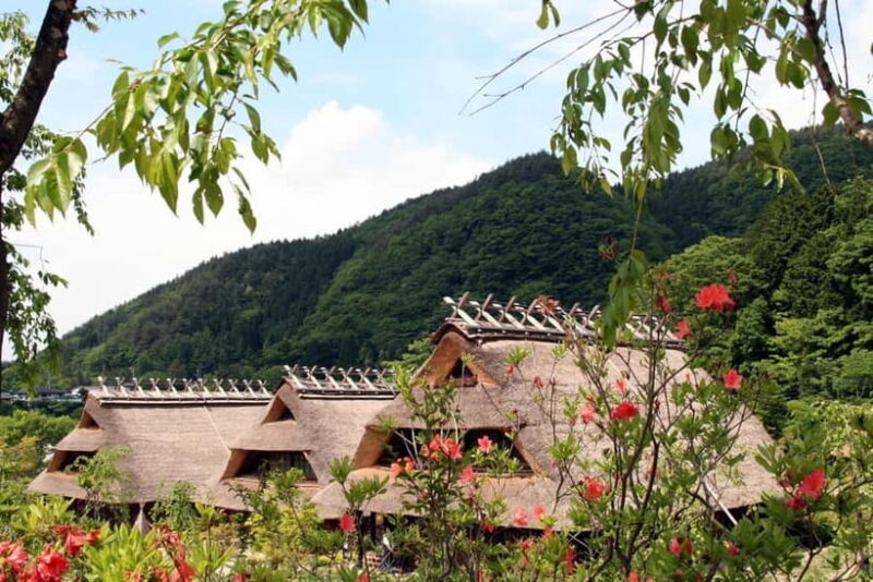 Tokyo: Mt.Fuji and Lake Kawaguchiko Tour with Lunch - A detailed look at what you can expect on this tour