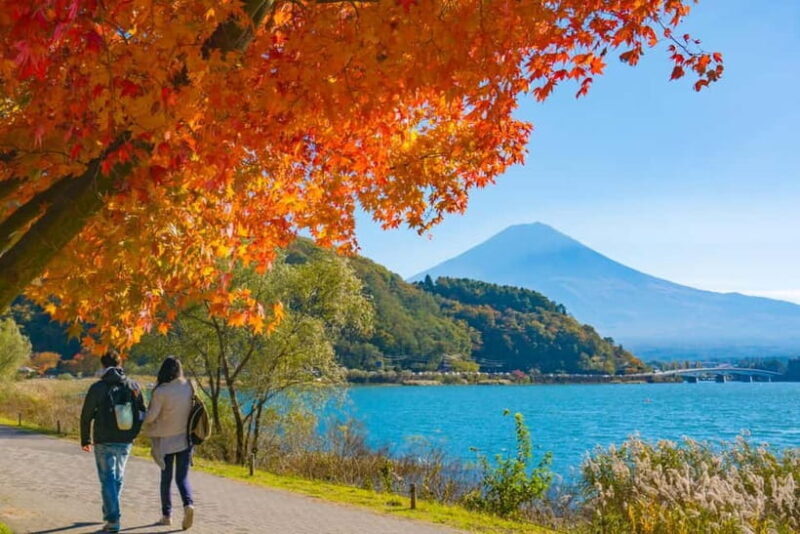 Tokyo: Mt.Fuji and Lake Kawaguchiko Tour with Lunch - Why this tour offers good value
