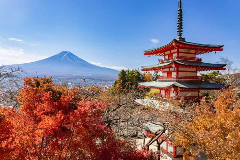 Tokyo: Mt. Fuji, Arakurayama Sengen Park, Oshino Hakkai Tour - Introduction