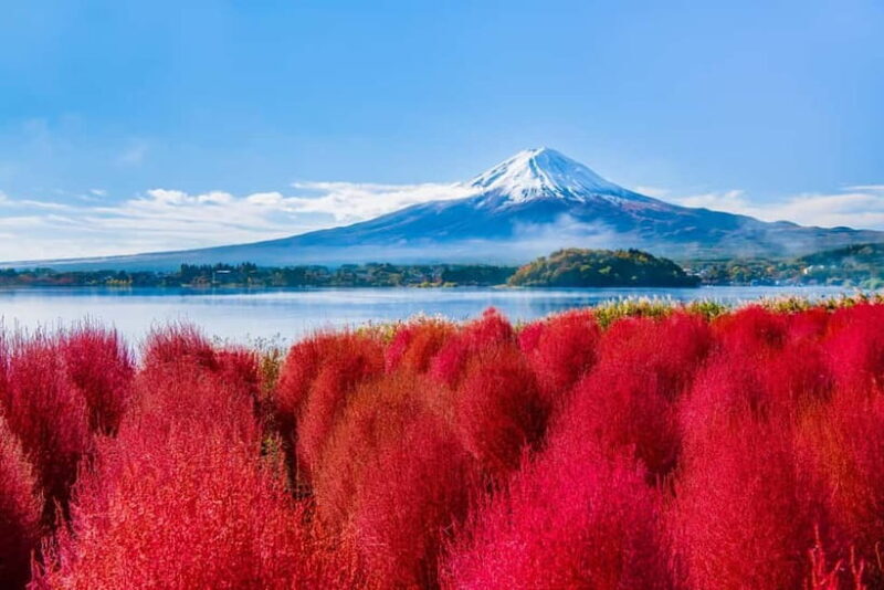 Tokyo: Mt. Fuji, Arakurayama Sengen Park, Oshino Hakkai Tour - Key Points