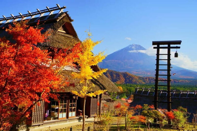 Tokyo: Mt. Fuji, Arakurayama Sengen Park, Oshino Hakkai Tour - What to Expect: Practical Details