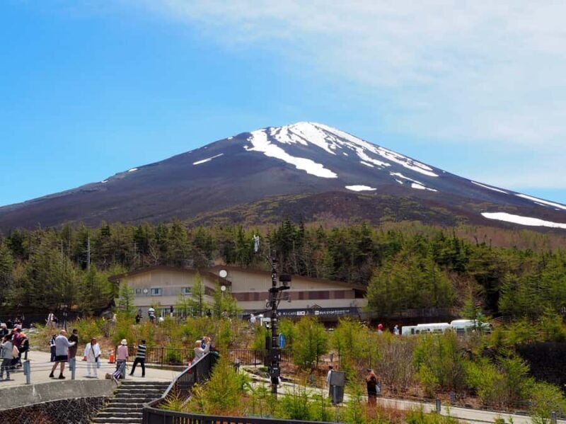 Tokyo: Mt Fuji Area Guided Tour with Traditional Lunch - Transportation and Duration: Comfort and Convenience