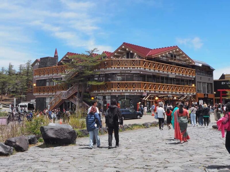 Tokyo: Mt Fuji Area Guided Tour with Traditional Lunch - Who Should Consider This Tour?