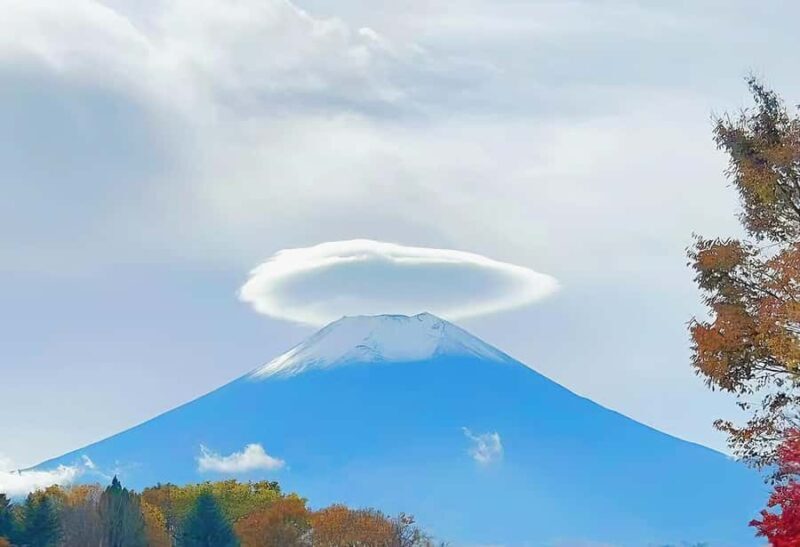 Tokyo: Mt. Fuji Cherry Blossom DayTrip & Yamanaka Hot Spring - A Closer Look at the Tour Itinerary