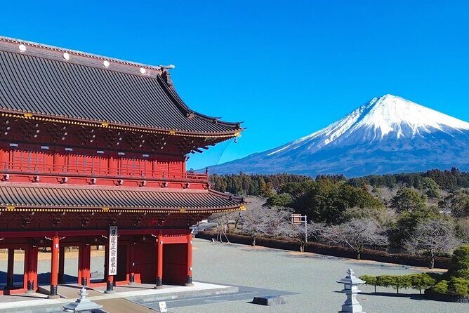 Tokyo: Mt. Fuji Cherry Blossoms and Tea picking Tour - Who Will Love This Tour?