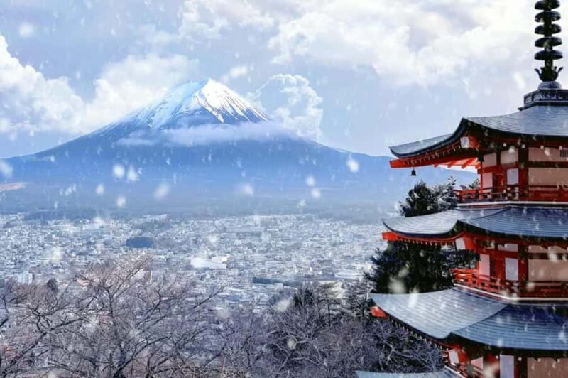 Tokyo: Mt Fuji Chureito Pagoda Lake Kawaguchi&Oshino Hakkai - Key Points