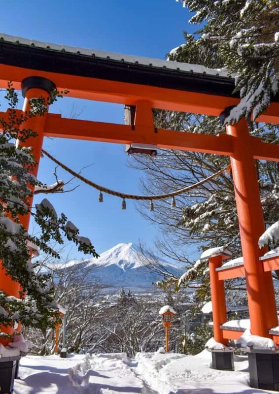 Tokyo: Mt Fuji Chureito Pagoda Lake Kawaguchi&Oshino Hakkai - The Sum Up: Is This Tour Worth It?