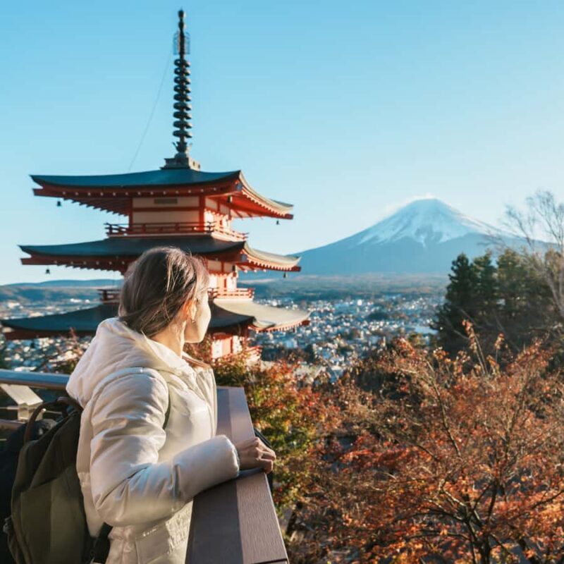 Tokyo: Mt Fuji Customizable Private Tour By English Driver - Key Points