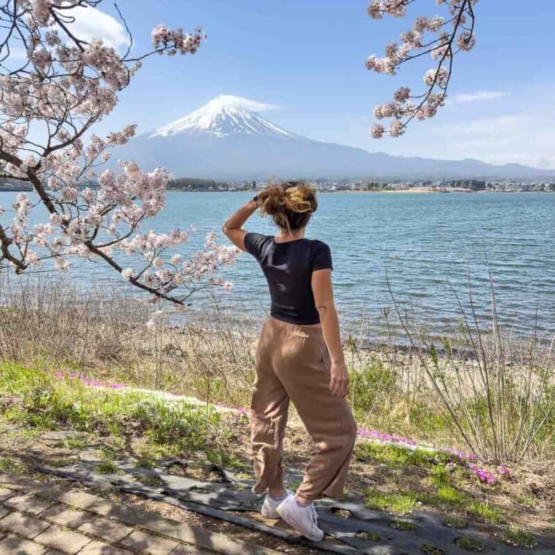 Tokyo: Mt Fuji Customizable Private Tour By English Driver - Navigating the Itinerary Options