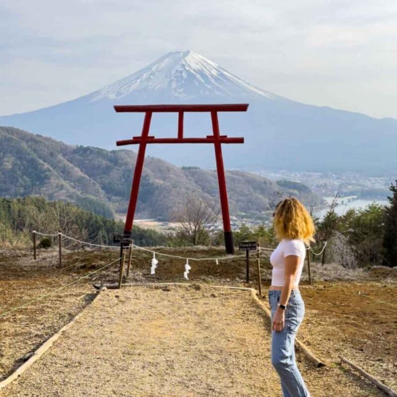 Tokyo: Mt Fuji Customizable Private Tour By English Driver - Who Is This Tour Best Suited For?