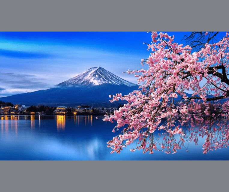 Tokyo: Mt. Fuji & Hakone Cherry Blossoms Private Day Tour - Key Points