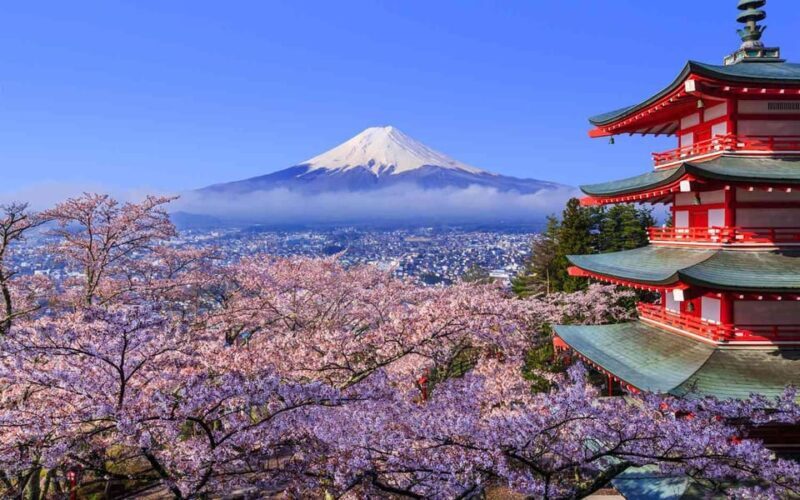 Tokyo: Mt. Fuji & Hakone Cherry Blossoms Private Day Tour - The Practical Side: Costs, Timing, and Tips