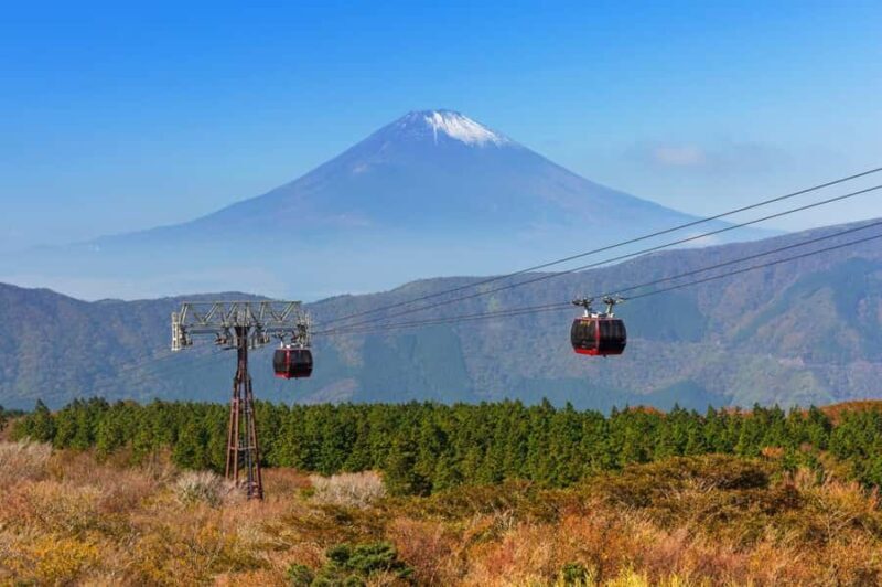 Tokyo: Mt Fuji & Hakone & Enoshima Tour, Owakudani Ropeway - Who Should Consider This Tour?