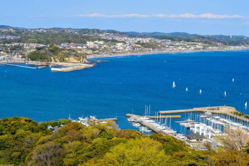 Tokyo: Mt Fuji & Hakone & Enoshima Tour, Owakudani Ropeway - Final Thoughts