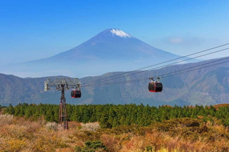 Tokyo: Mt. Fuji & Hakone, FREE Pirate Ship & Ropeway - Who should consider this tour?