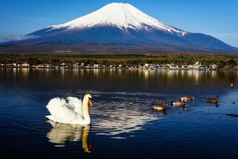 Tokyo: Mt Fuji & Hakone Ninja Cruises & Ropeway Tour - Is It Worth It?