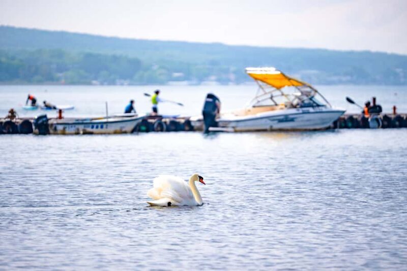 Tokyo: Mt Fuji & Hakone Ninja Cruises & Ropeway Tour - Practical Details & Tips