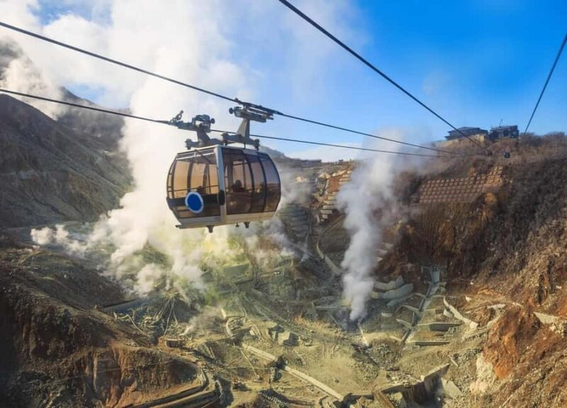 Tokyo: Mt. Fuji & Hakone One-Day Private Tour - Analyzing the Value