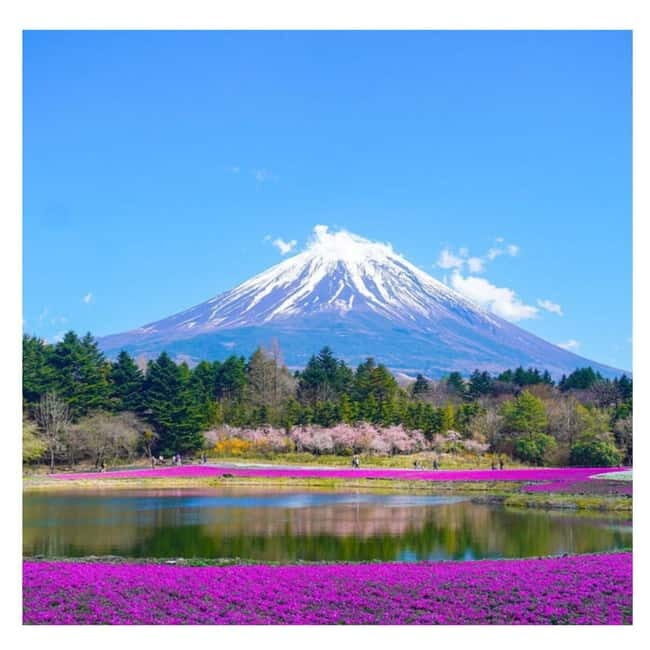 Tokyo: Mt-Fuji & Hakone Private Custom Tour English Driver - The Sum Up: Who Will Love This Tour?