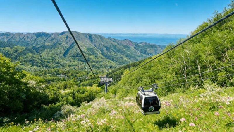 Tokyo: Mt. Fuji, Hakone Ropeway, Owakudani & Lake Ashi Tour - Final Thoughts