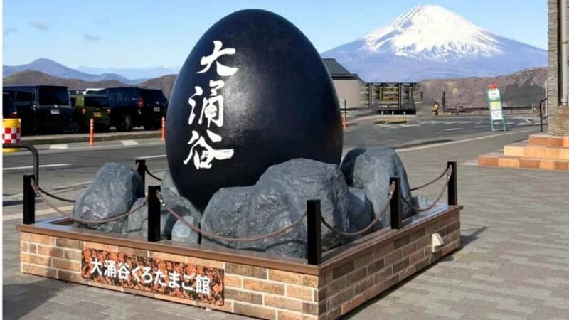 Tokyo: Mt. Fuji, Hakone Ropeway, Owakudani & Lake Ashi Tour - FAQ