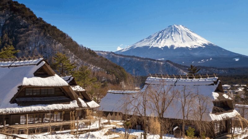 Tokyo: Mt. Fuji Hidden Gems and Aokigahara Forest Tour - Final Thoughts