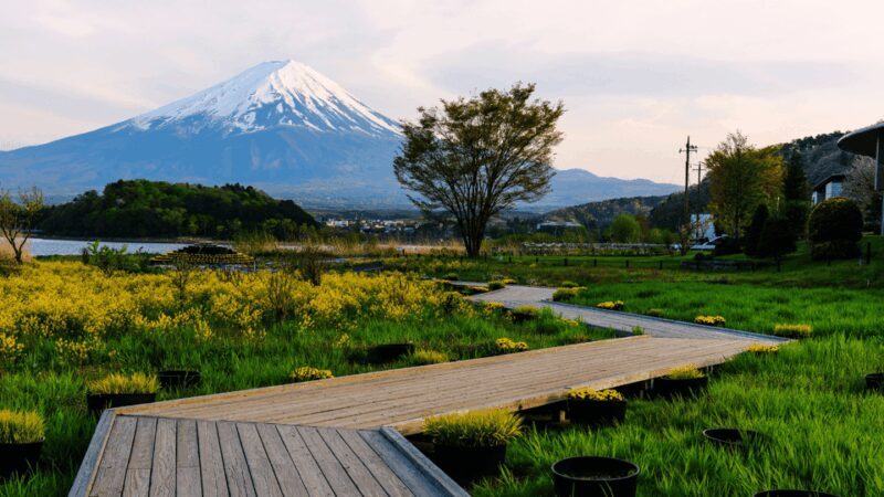 Tokyo: Mt. Fuji Hidden Gems and Aokigahara Forest Tour - FAQs