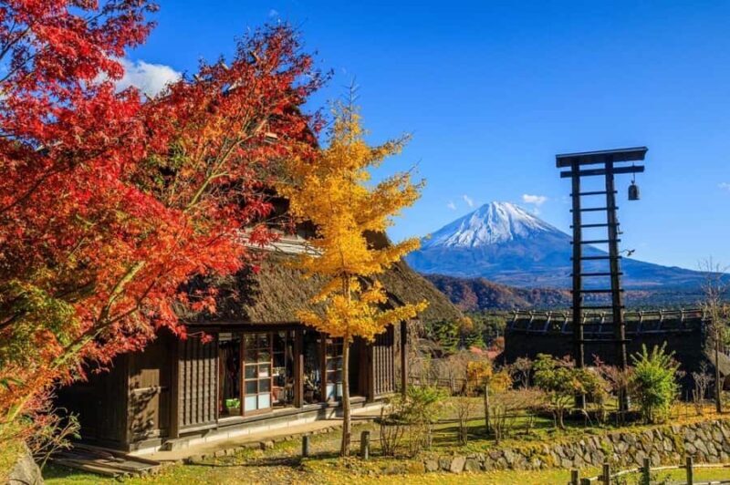 Tokyo: Mt. Fuji Highlights and Whisky Museum Private Tour - Key Points