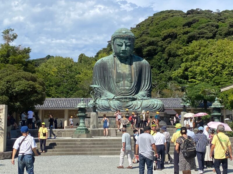 Tokyo: Mt. Fuji, Kamakura, Big Buddha, & Lake Ashi Day Trip - Who Should Sign Up for This Tour?