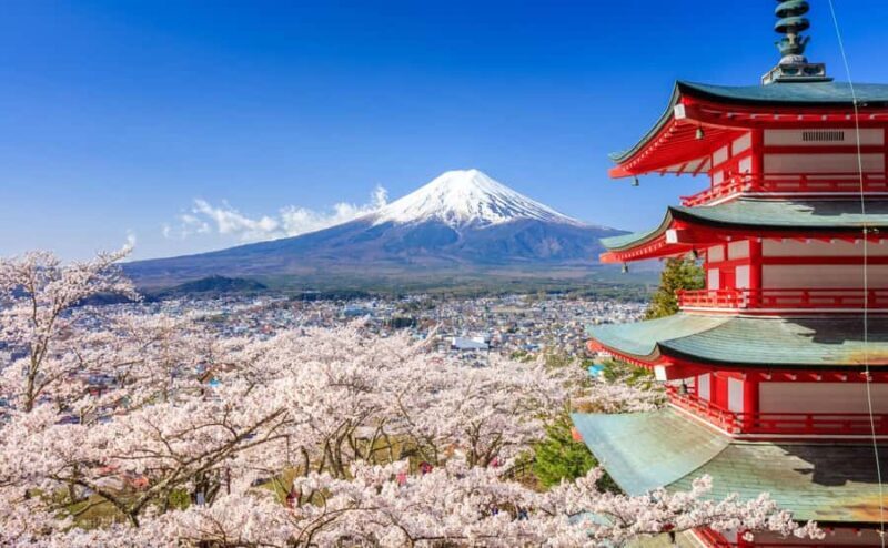 Tokyo: Mt. Fuji, Kawagoe, & Hikawa Shrine Day Trip - The Itinerary: A Full Day of Culture and Scenery