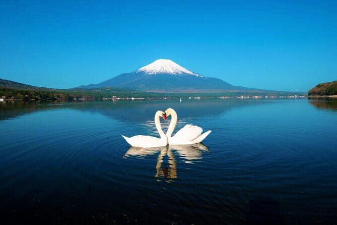 Tokyo Mt Fuji Kawaguchi and Yamanaka Onsen Tour with Pick up - Analyzing the Value and What Youll Get