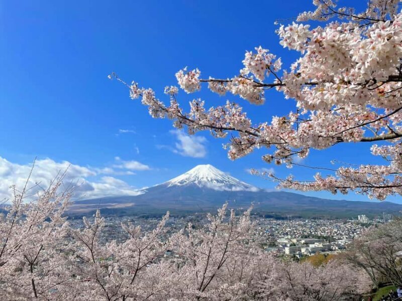Tokyo: Mt Fuji, Lake Cruise and Noodles Making Experience - Authentic Experiences and Traveler Feedback