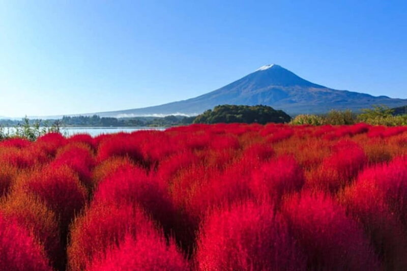 Tokyo: Mt. Fuji & Lake Kawaguchi 3-Row Luxury Bus 1-Day Tour - Key Points