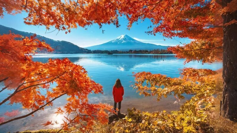 Tokyo: Mt Fuji Lake Kawaguchi & Yamanaka Hot Spring Day Tour - Who Should Consider This Tour?
