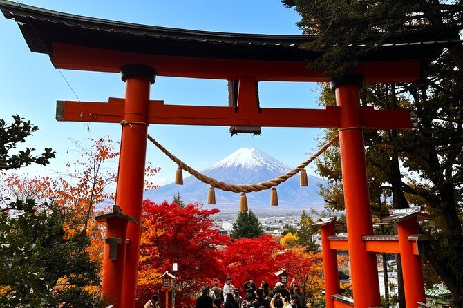 Tokyo: Mt.Fuji & Lake Kawaguchiko 1-Day Bus Tour w/Optional Lunch - Key Points