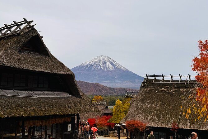 Tokyo: Mt.Fuji & Lake Kawaguchiko 1-Day Bus Tour w/Optional Lunch - Authentic Reviews and Real Experiences