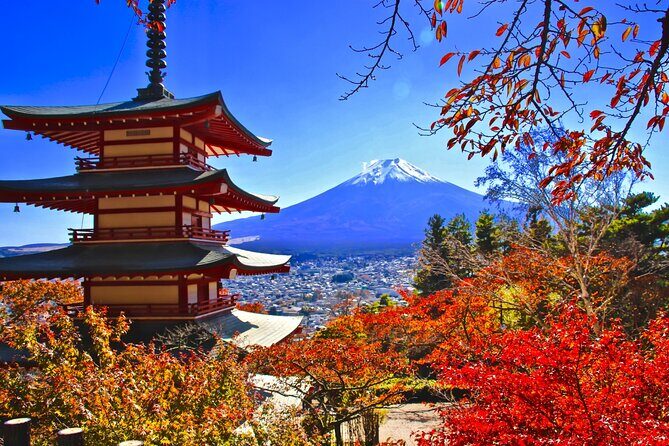 Tokyo: Mt. Fuji & Lake Kawaguchiko 1Day Bus Tour without Lunch - Who Is This Tour Best Suited For?
