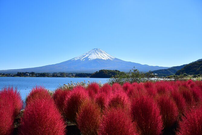 Tokyo: Mt. Fuji & Lake Kawaguchiko 1Day Bus Tour without Lunch - FAQ