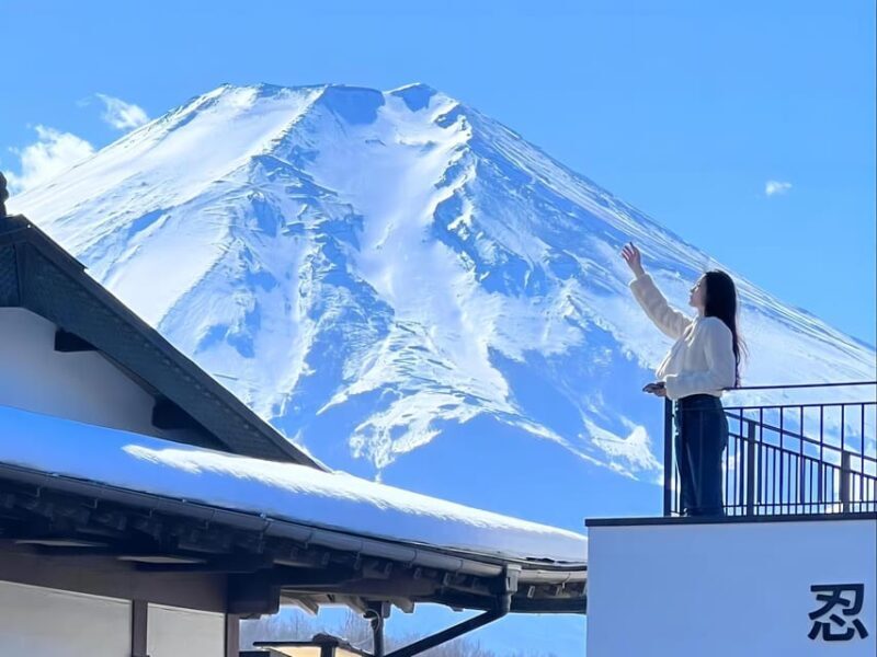 Tokyo: Mt Fuji Lake Kawaguchiko Tour & Arakuyama Sengen Park - Who Should Consider This Tour?