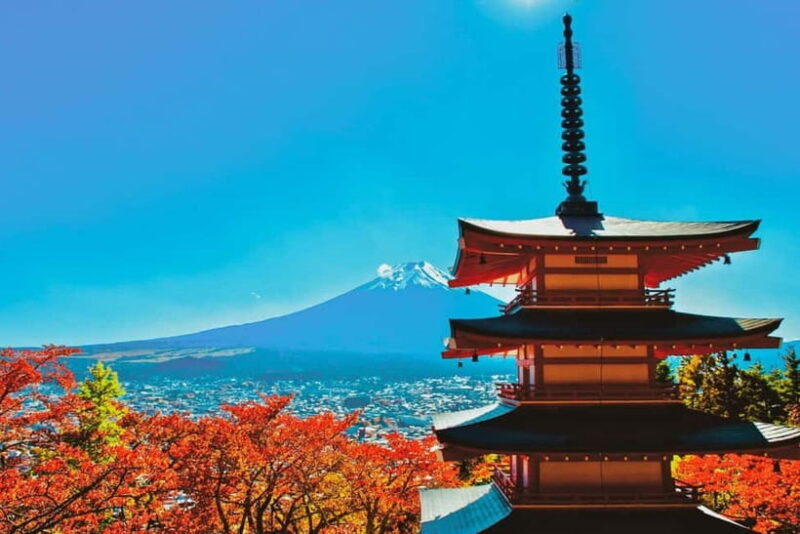 Tokyo: Mt. Fuji, LakeKawaguchiko, Pagoda, & Oishi Park Tour - What to Expect: Real-World Insights