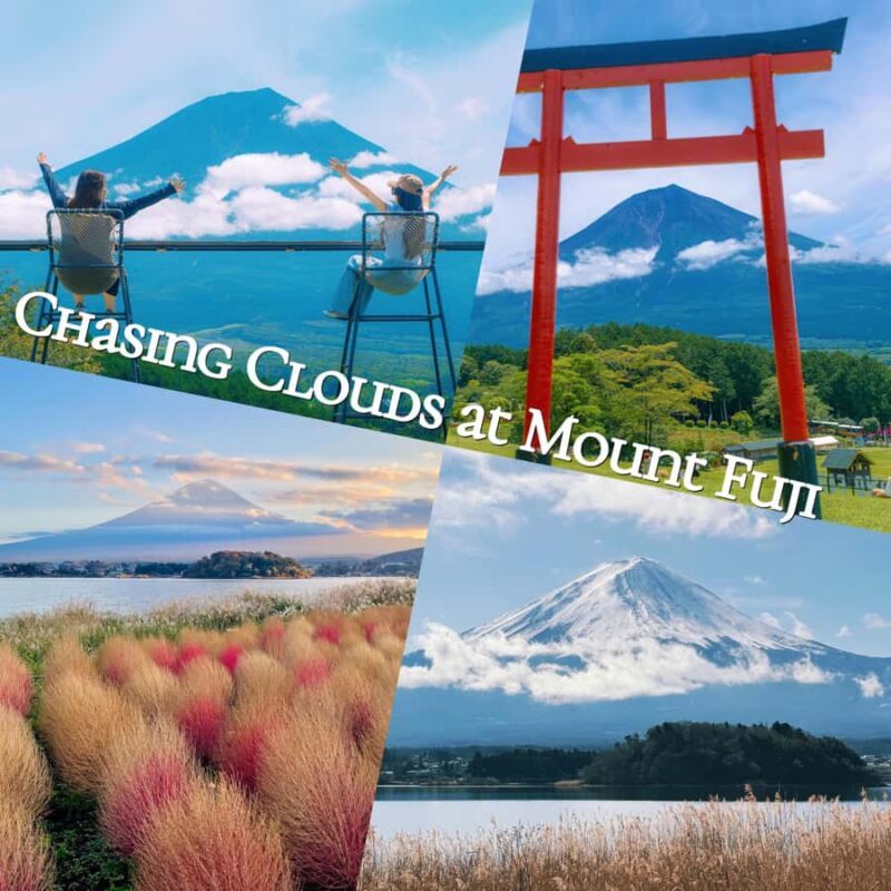 Tokyo: Mt. Fuji, Makaino Farm, and Lake Kawaguchi Tour - Key Points