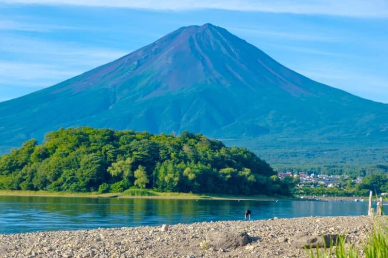 Tokyo: Mt. Fuji, Makaino Farm, and Lake Kawaguchi Tour - Summing Up the Value