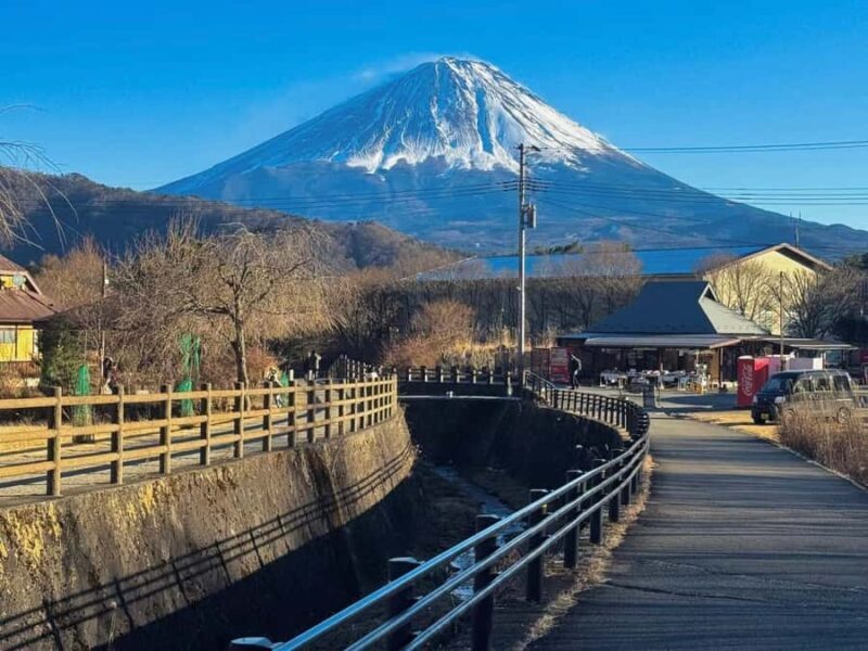 Tokyo: Mt. Fuji, Makaino Farm, and Lake Kawaguchi Tour - Who Should Consider This Tour?