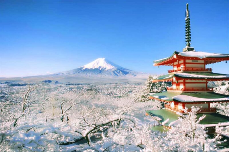 Tokyo: Mt Fuji & Oishi Park &Lake Kawaguchi & OshincHakkai - Starting Point and Transportation