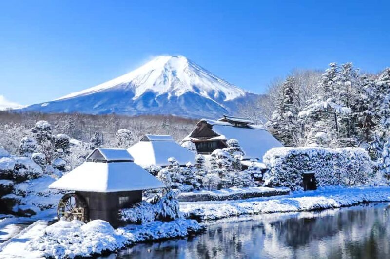 Tokyo: Mt Fuji & Oishi Park &Lake Kawaguchi & OshincHakkai - Oishi Park: Flowers and Fuji