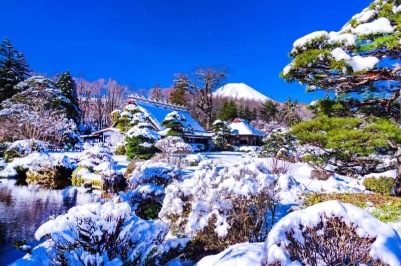 Tokyo: Mt Fuji & Oishi Park &Lake Kawaguchi & OshincHakkai - Hikawa Clock Shop: Serenity and Rural Japan